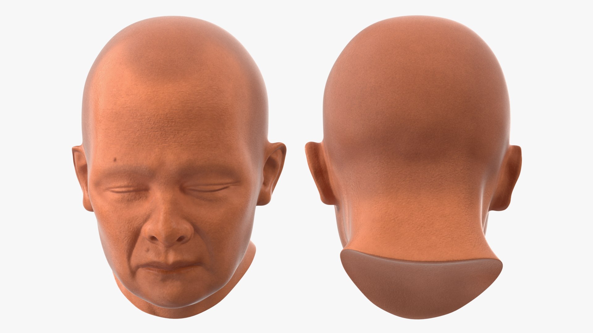 Monk Head Model - TurboSquid 2001413