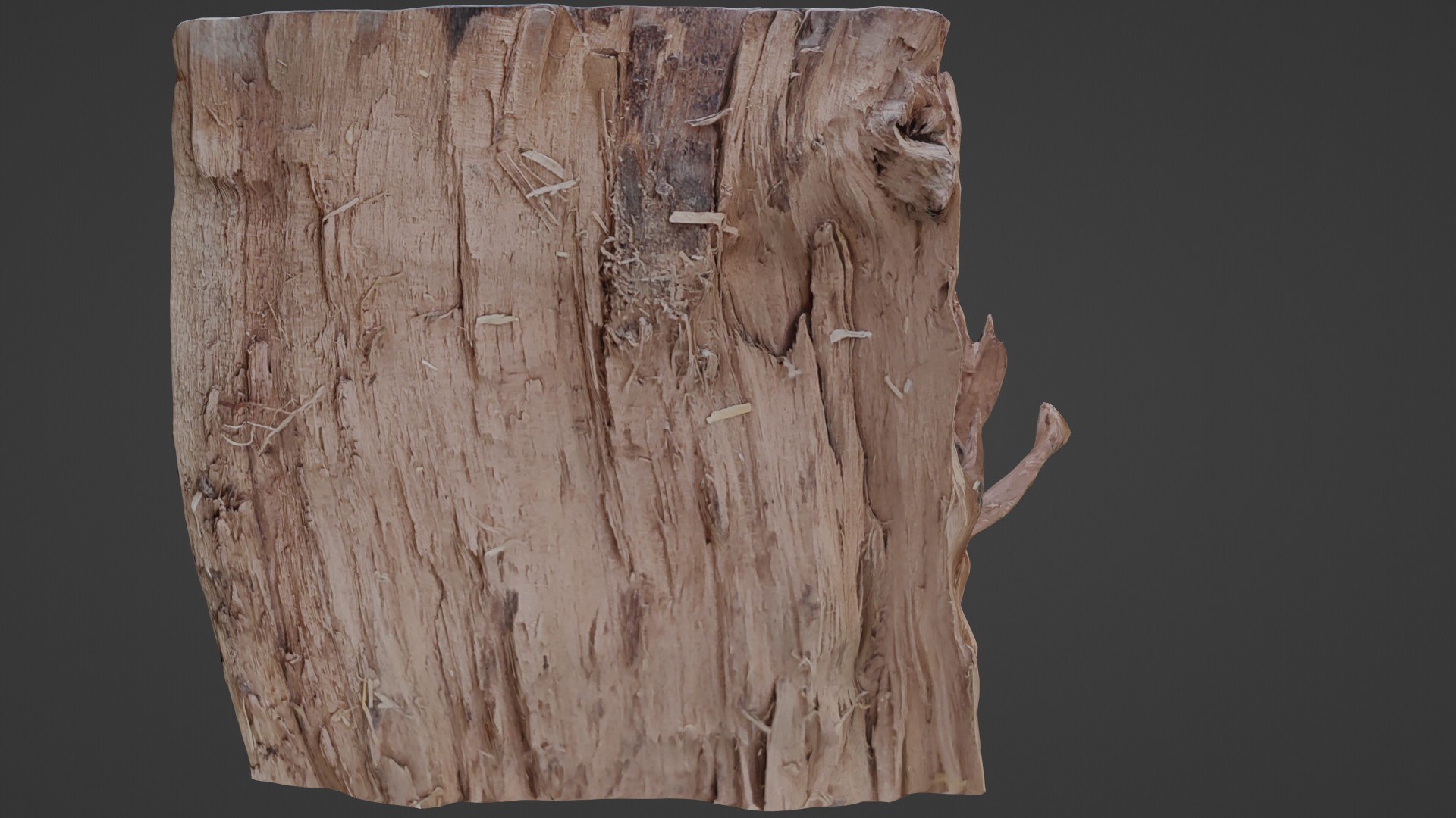 Trunk Half Cutted 3D Model - TurboSquid 2330331