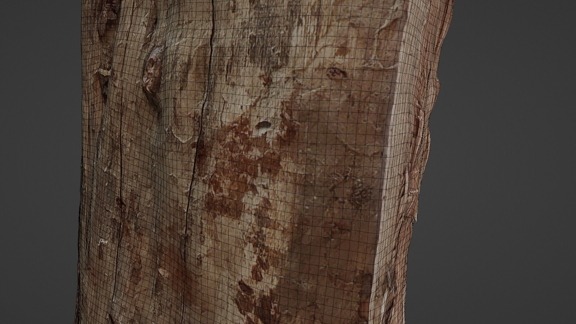 Trunk Half Cutted 3D Model - TurboSquid 2330331