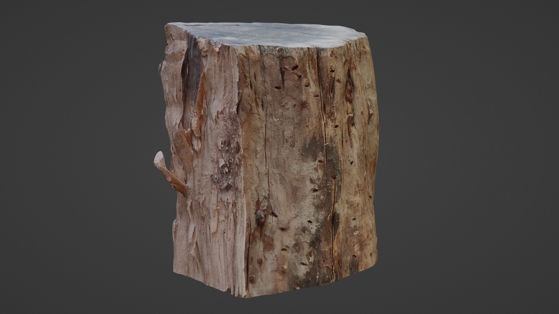 Trunk Half Cutted 3D Model - TurboSquid 2330331