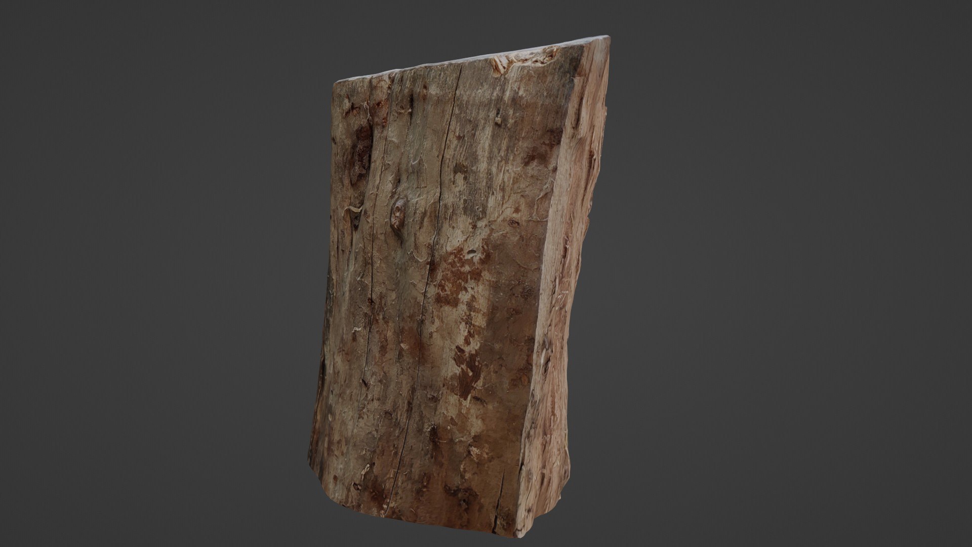 Trunk Half Cutted 3D Model - TurboSquid 2330331