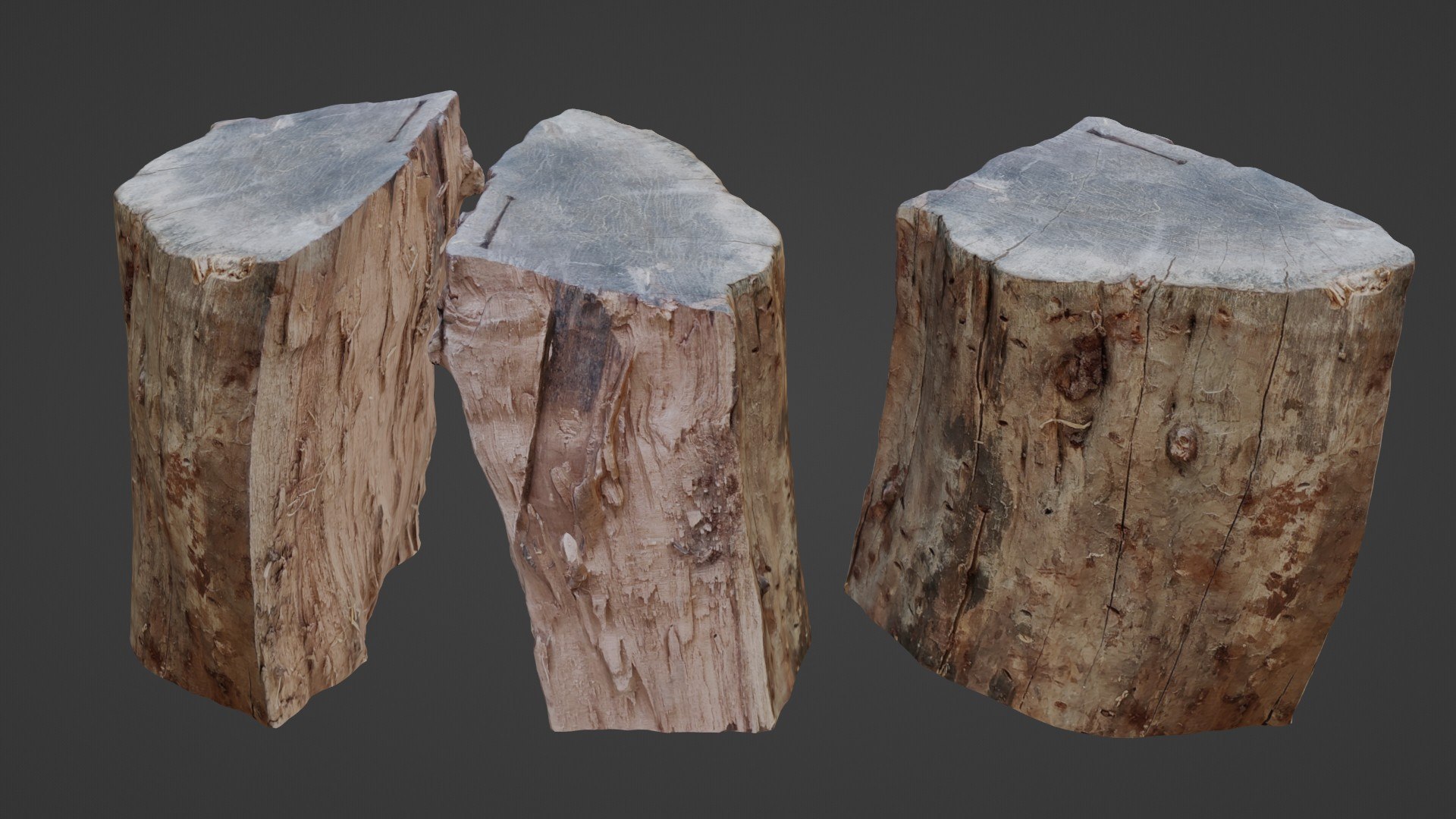 Trunk Half Cutted 3D Model - TurboSquid 2330331