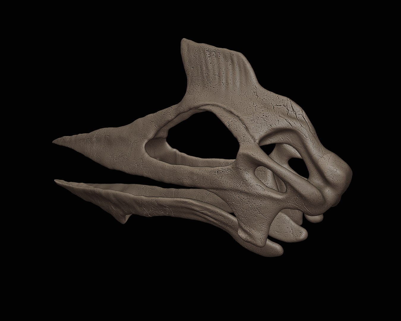 Quetzalcoatlus Skull 3D Print Mode 3D - TurboSquid 2396856