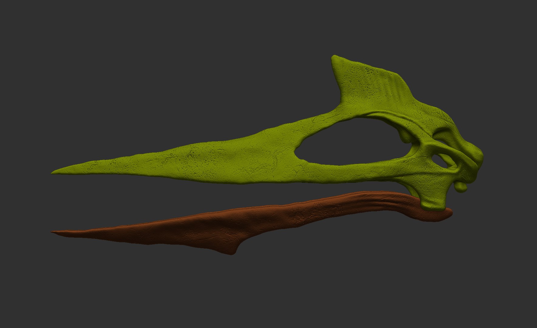 Quetzalcoatlus Skull 3D Print Mode 3D - TurboSquid 2396856