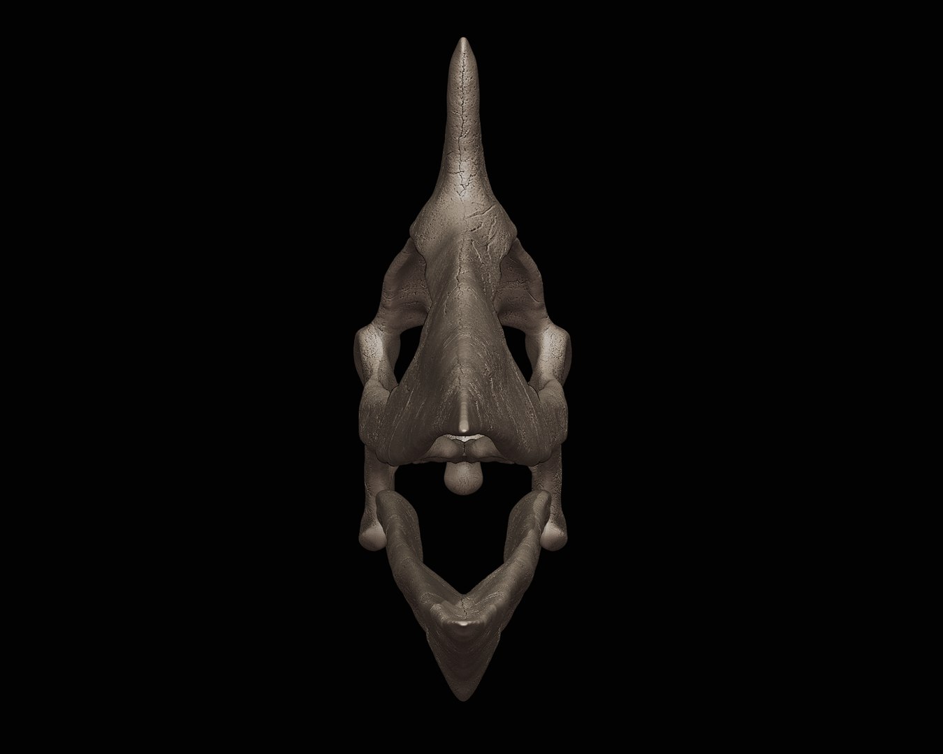 Quetzalcoatlus Skull 3D Print Mode 3D - TurboSquid 2396856