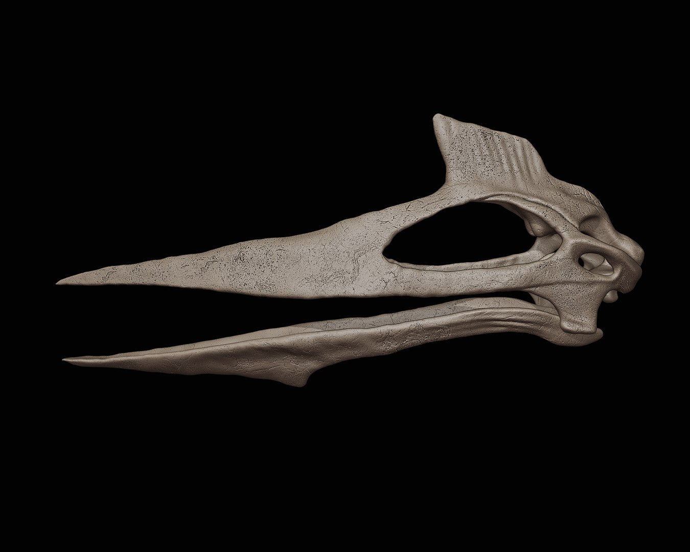 Quetzalcoatlus Skull 3D Print Mode 3D - TurboSquid 2396856