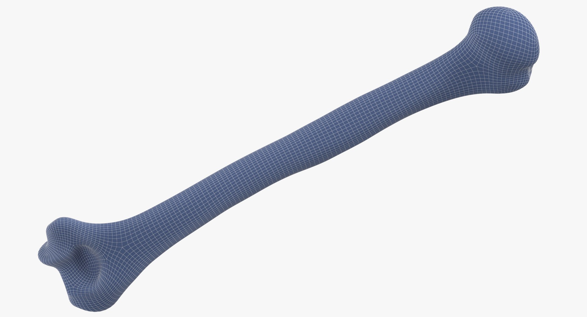 3D Model Human Humerus Bone 01 - TurboSquid 1423206