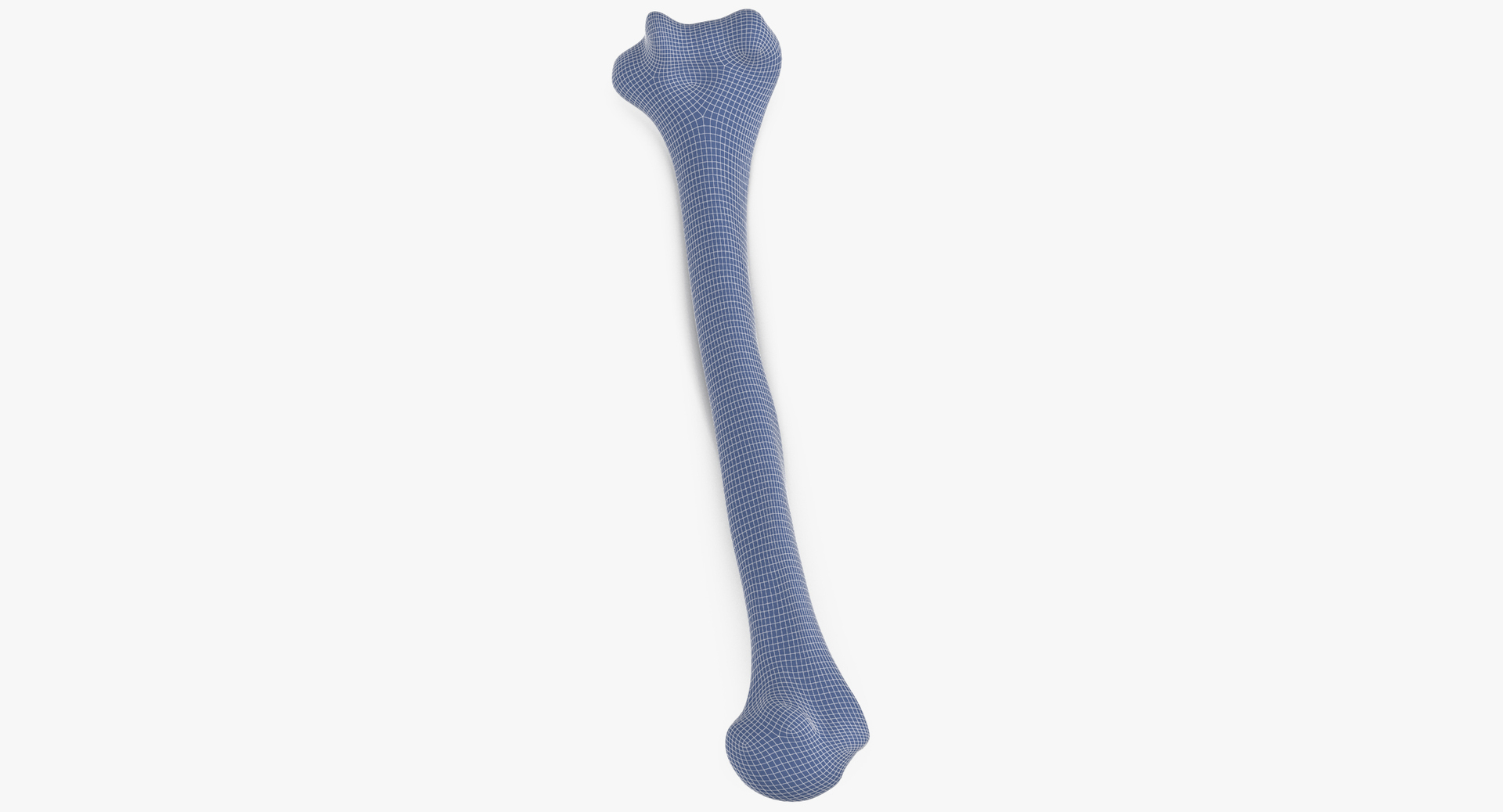 3D model human humerus bone 01 - TurboSquid 1423206