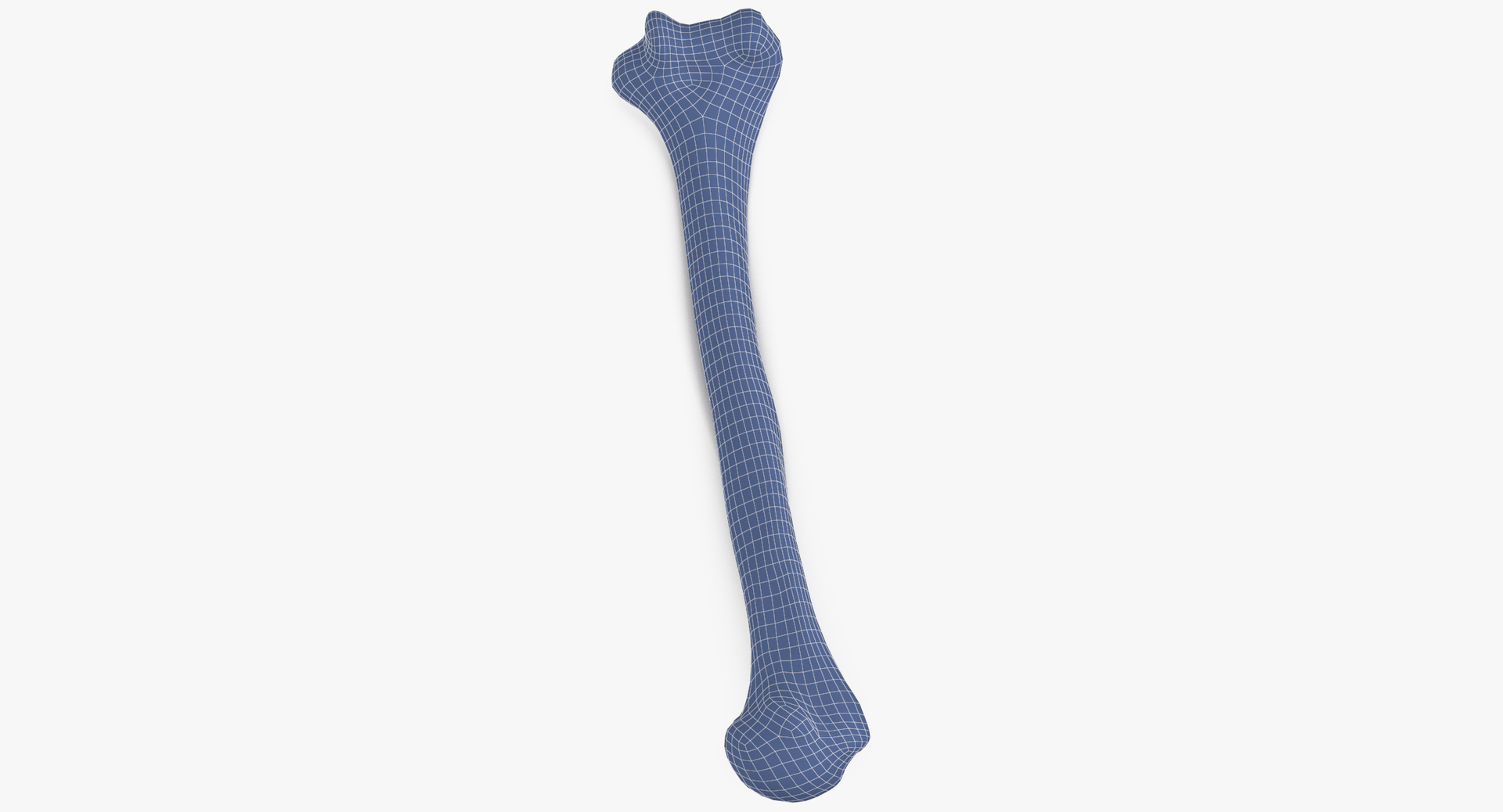 3D model human humerus bone 01 - TurboSquid 1423206