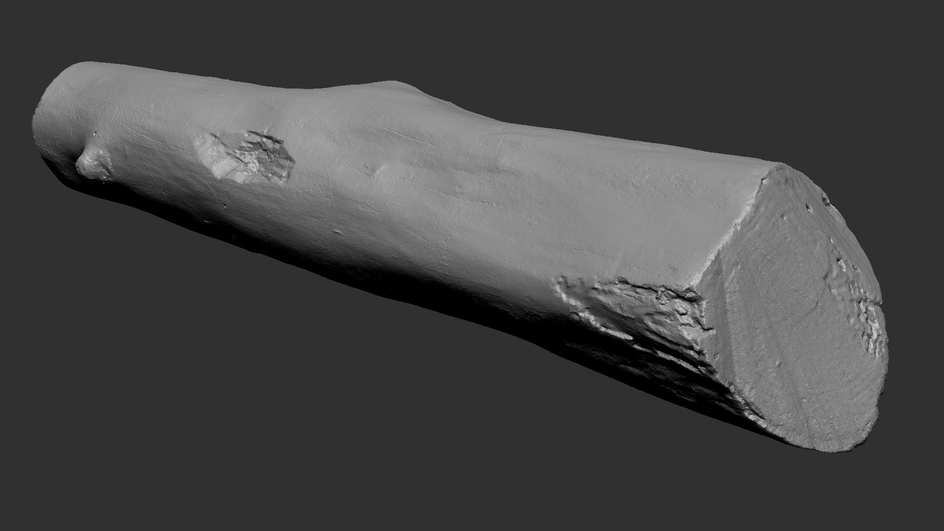 A Length Of Wood 3d Scan In Highpoly Model - TurboSquid 2202699