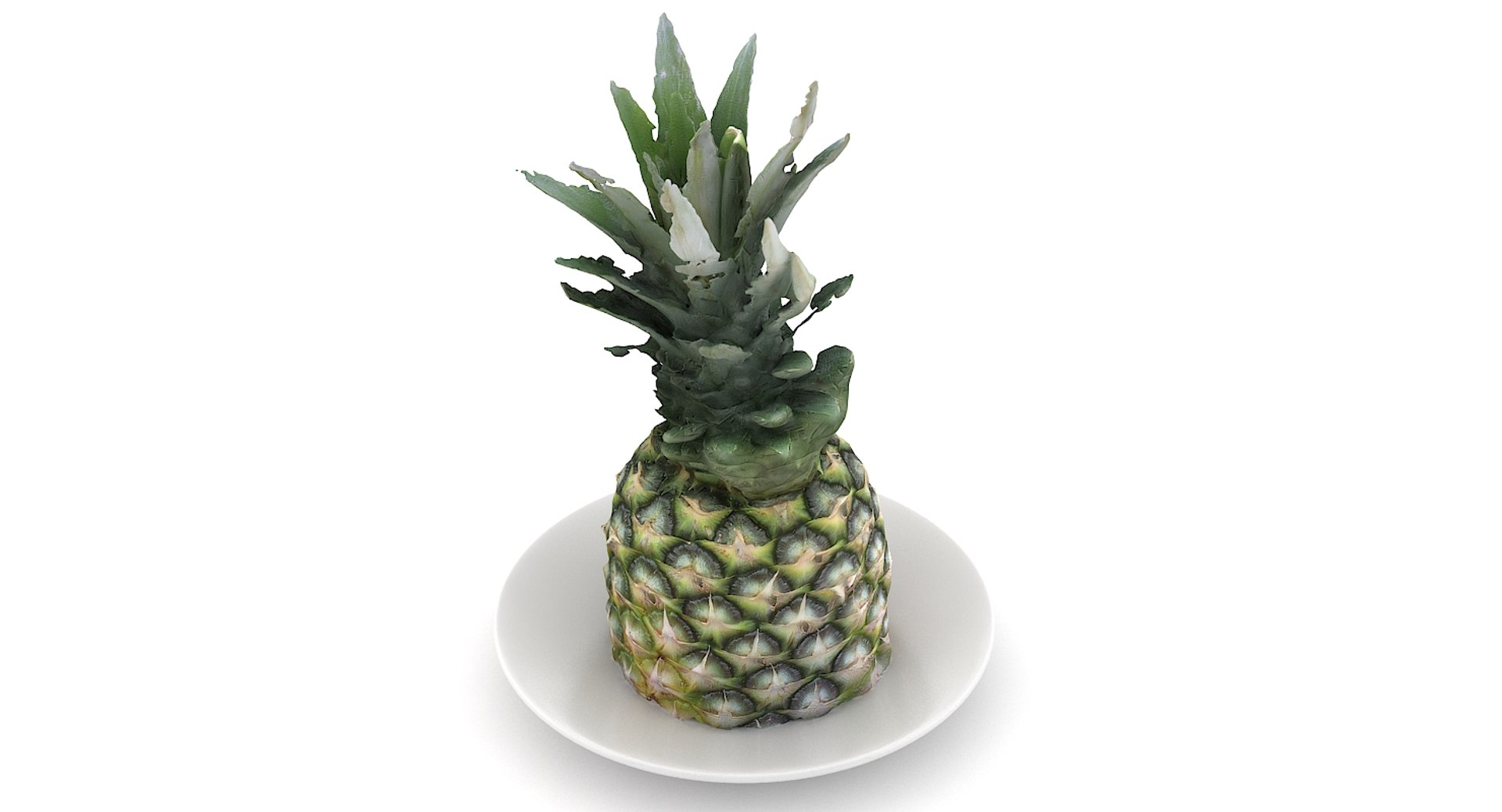 3D Model Pineapple Ananas - TurboSquid 1258734