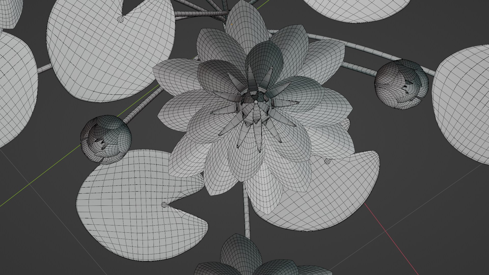 3D Water Lily White Model - TurboSquid 2073367