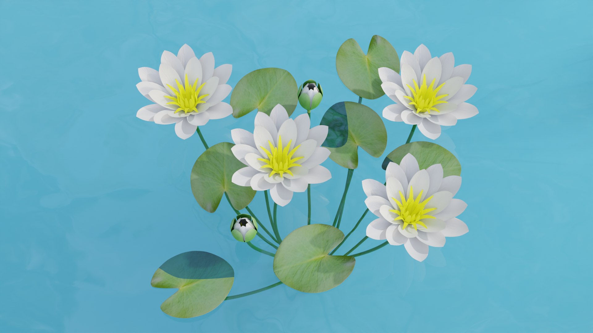3D Water Lily White Model - TurboSquid 2073367