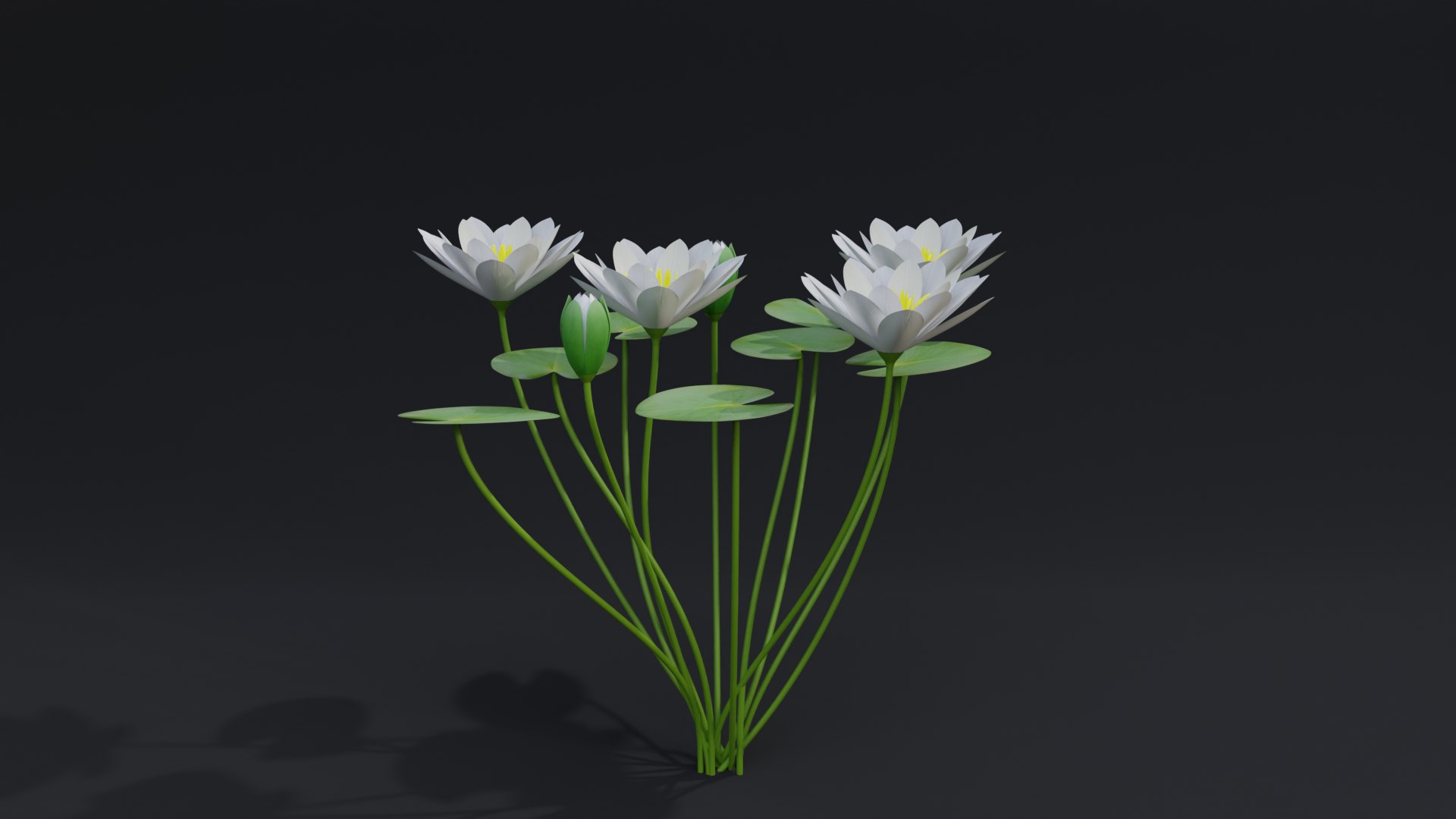 3D Water Lily White Model - TurboSquid 2073367