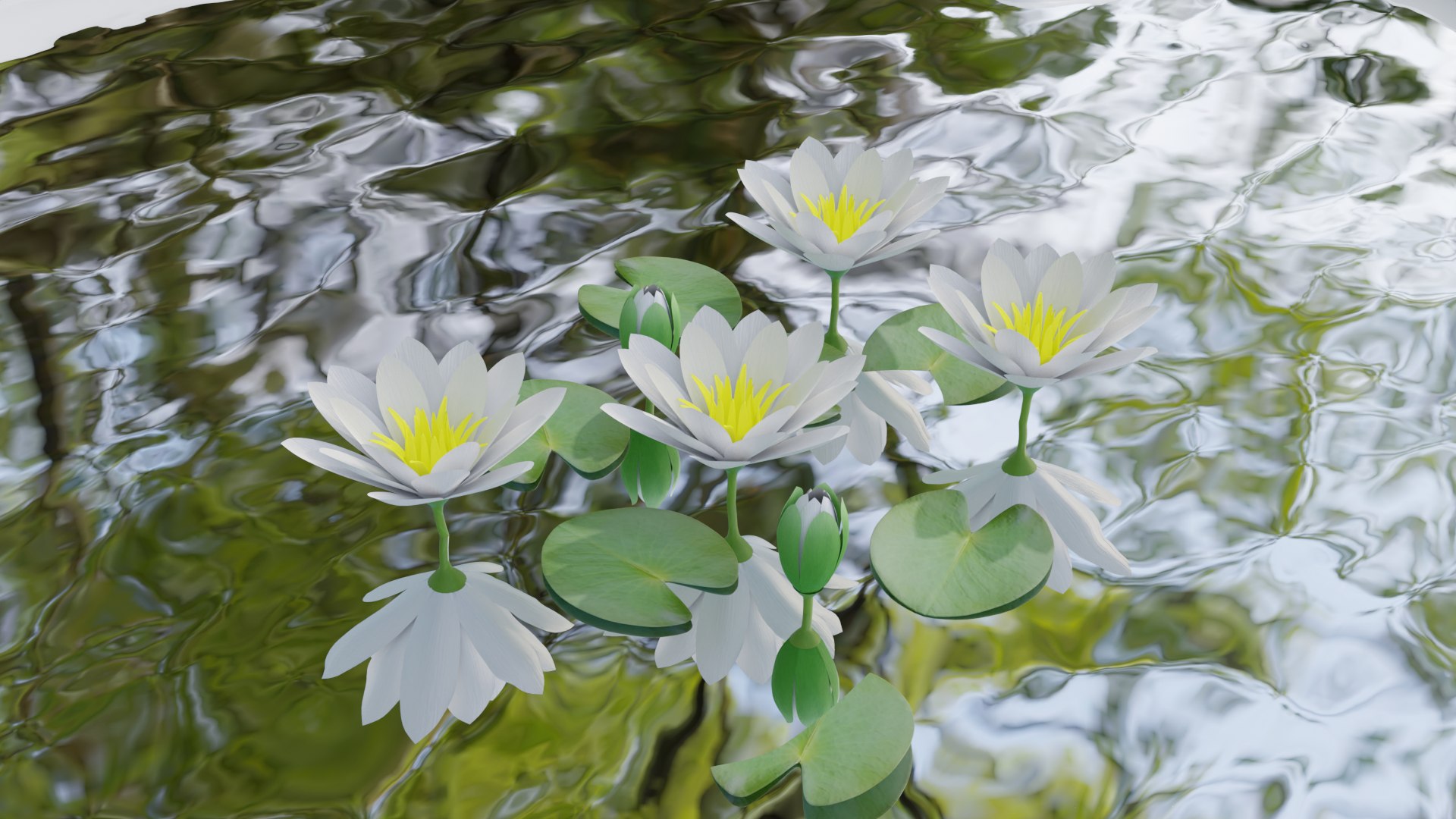 3D Water Lily White Model - TurboSquid 2073367
