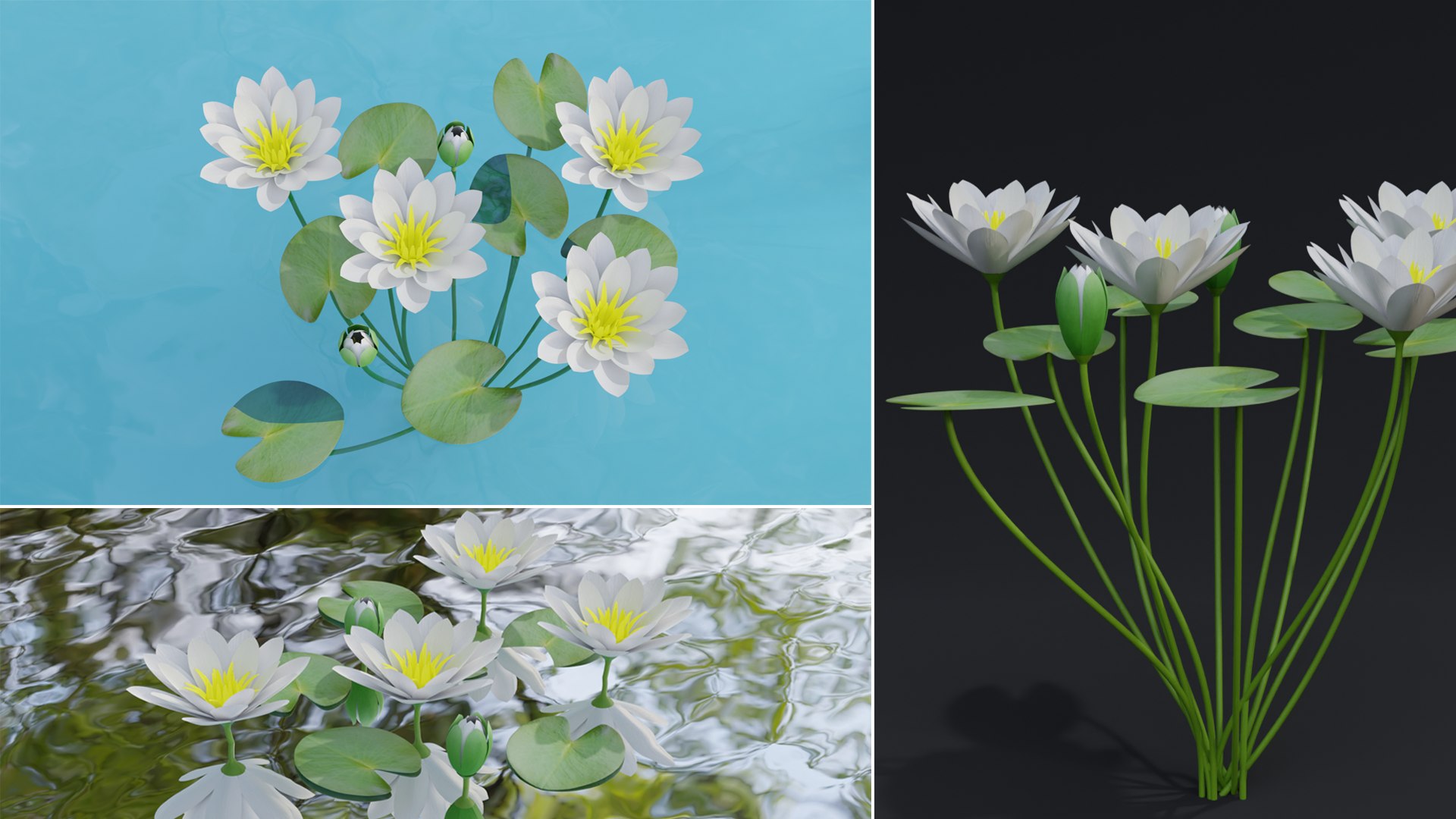 3D Water Lily White Model - TurboSquid 2073367