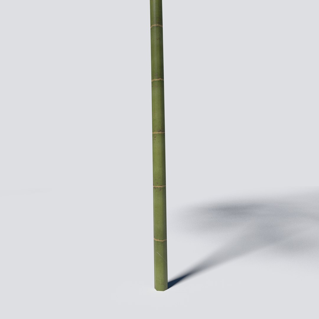 Bamboo Blender Cycles 3D Model - TurboSquid 1328615