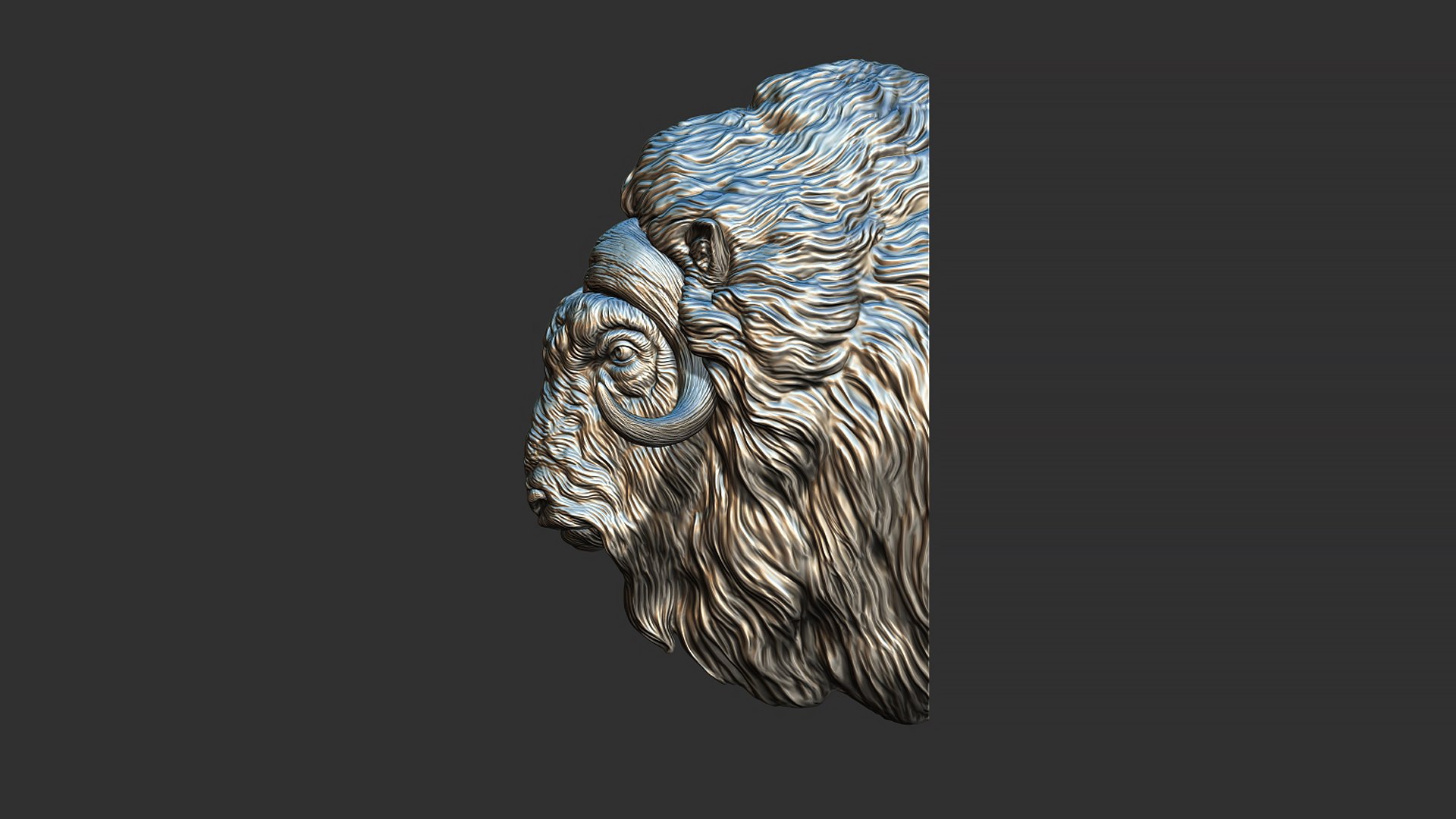 Musk Ox Head Bust 3D Model - TurboSquid 2024923