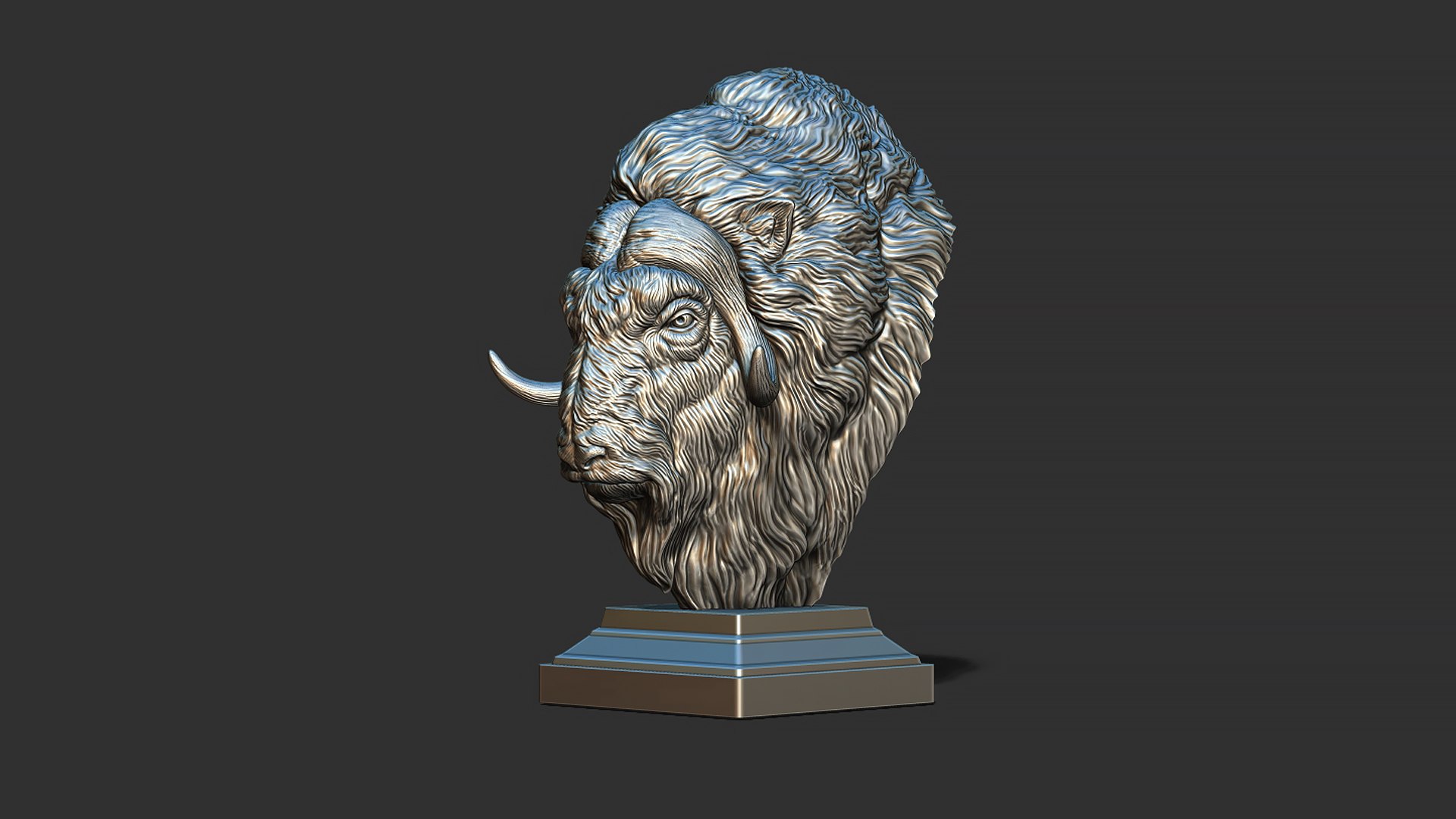 Musk Ox Head Bust 3D Model - TurboSquid 2024923