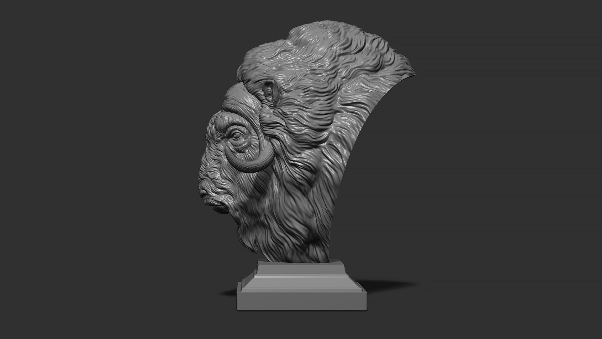 Musk Ox Head Bust 3D Model - TurboSquid 2024923