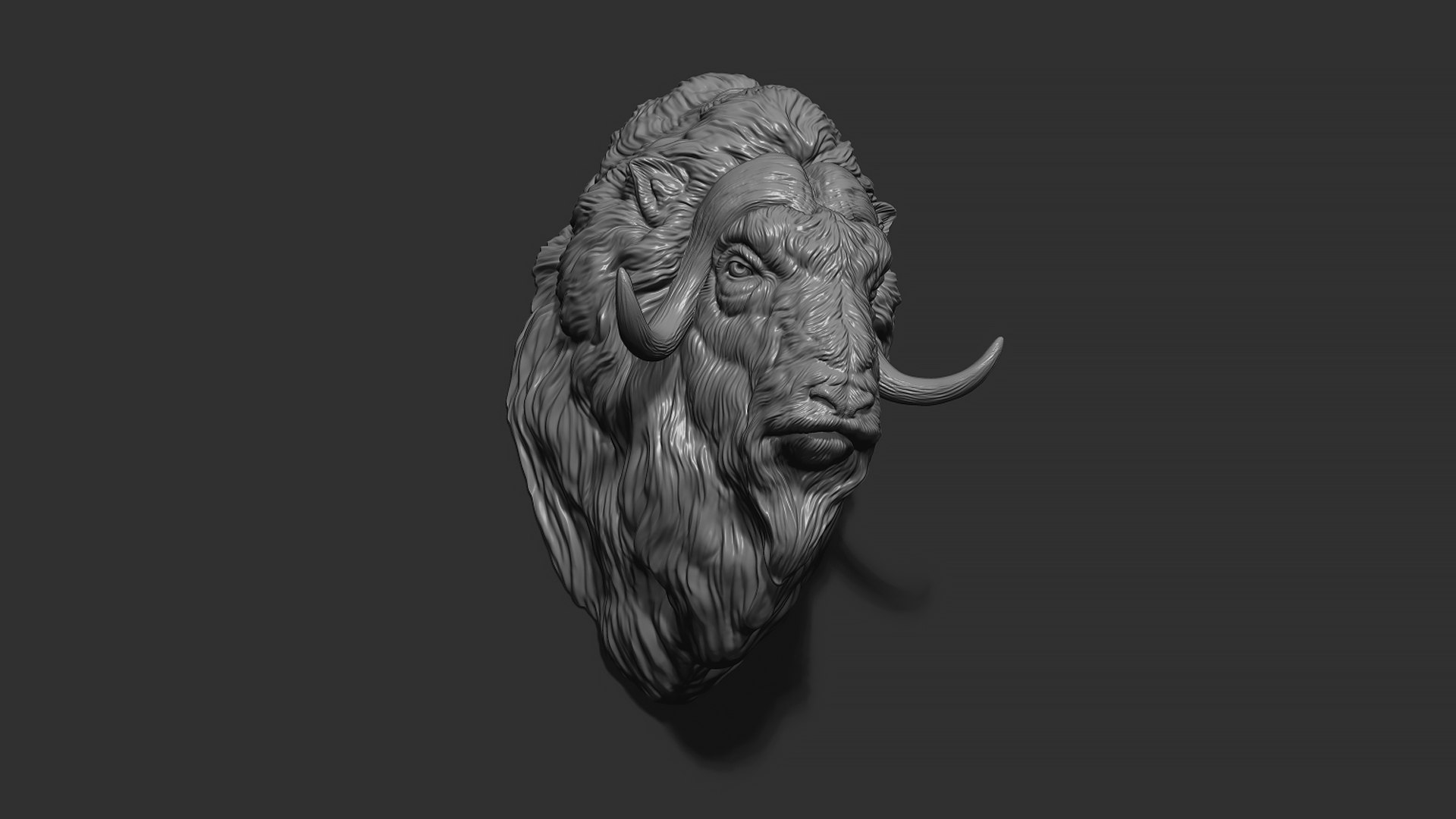 Musk Ox Head Bust 3D Model - TurboSquid 2024923