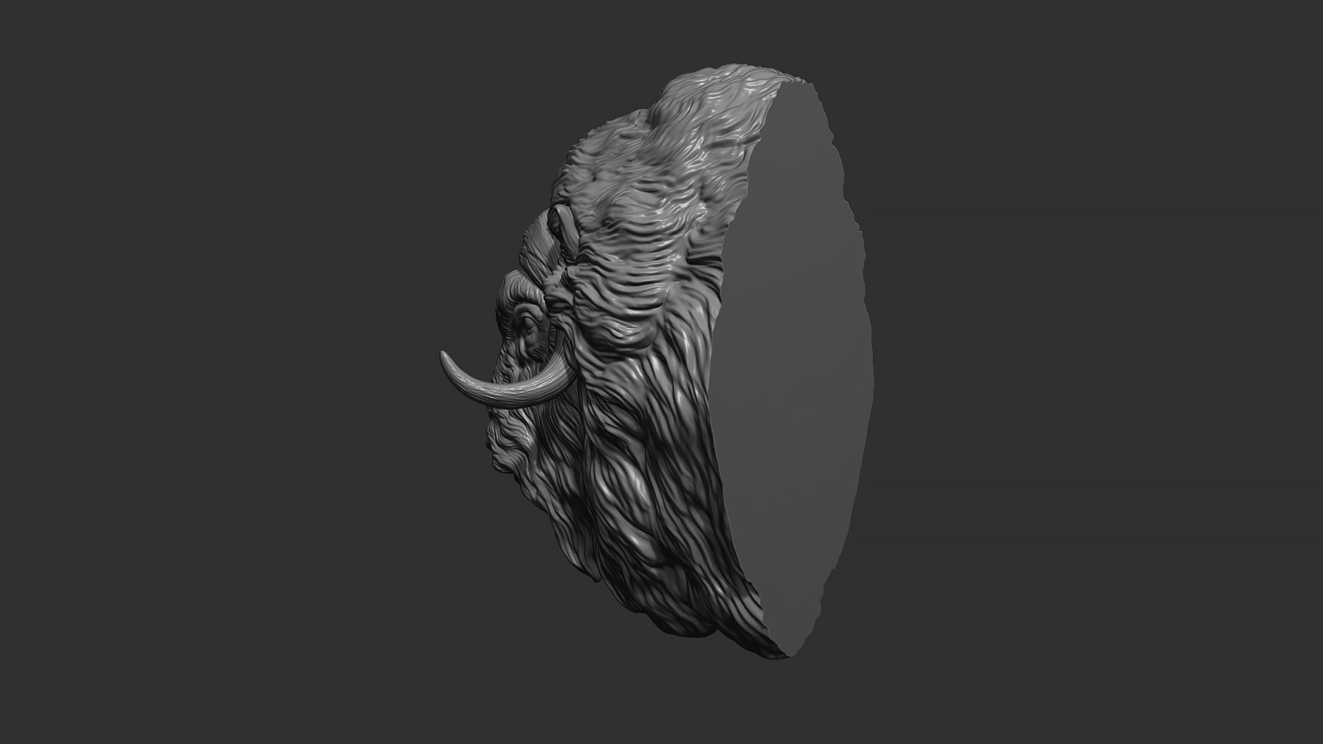 Musk Ox Head Bust 3D Model - TurboSquid 2024923