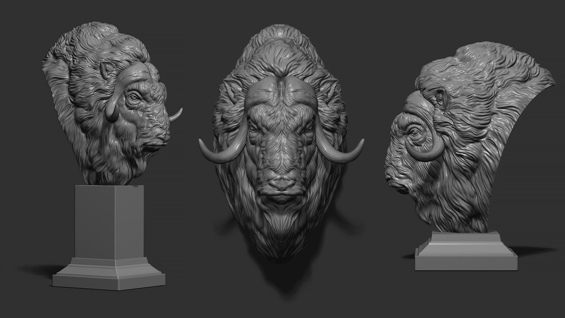 Musk Ox Head Bust 3D Model - TurboSquid 2024923