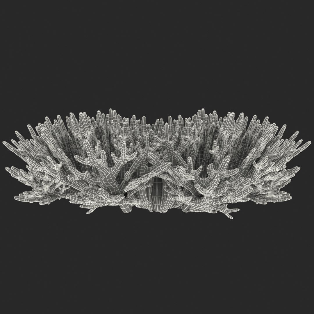 Acropora Coral 2 3d Model