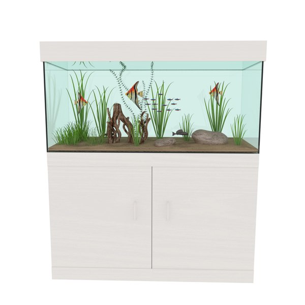 3D Aquarium Models | TurboSquid