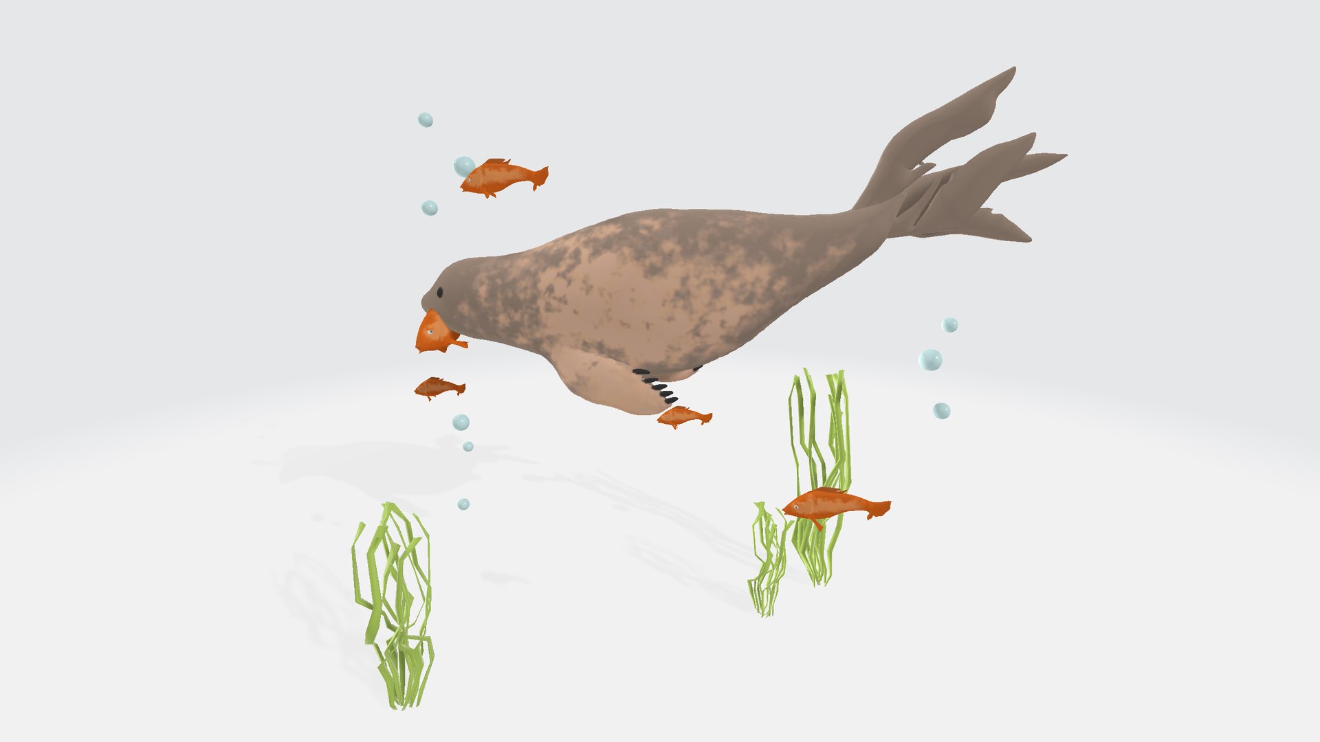 3D Seal Scene Model - TurboSquid 2398573