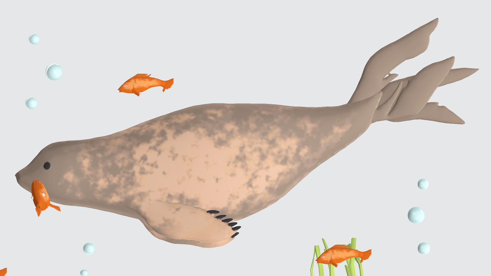3D Seal Scene Model - TurboSquid 2398573