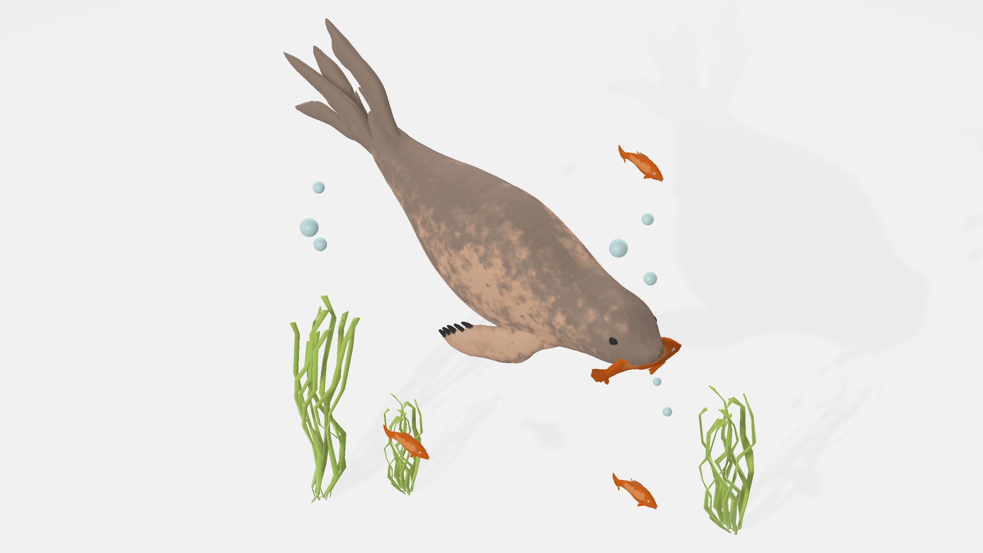 3D Seal Scene Model - TurboSquid 2398573