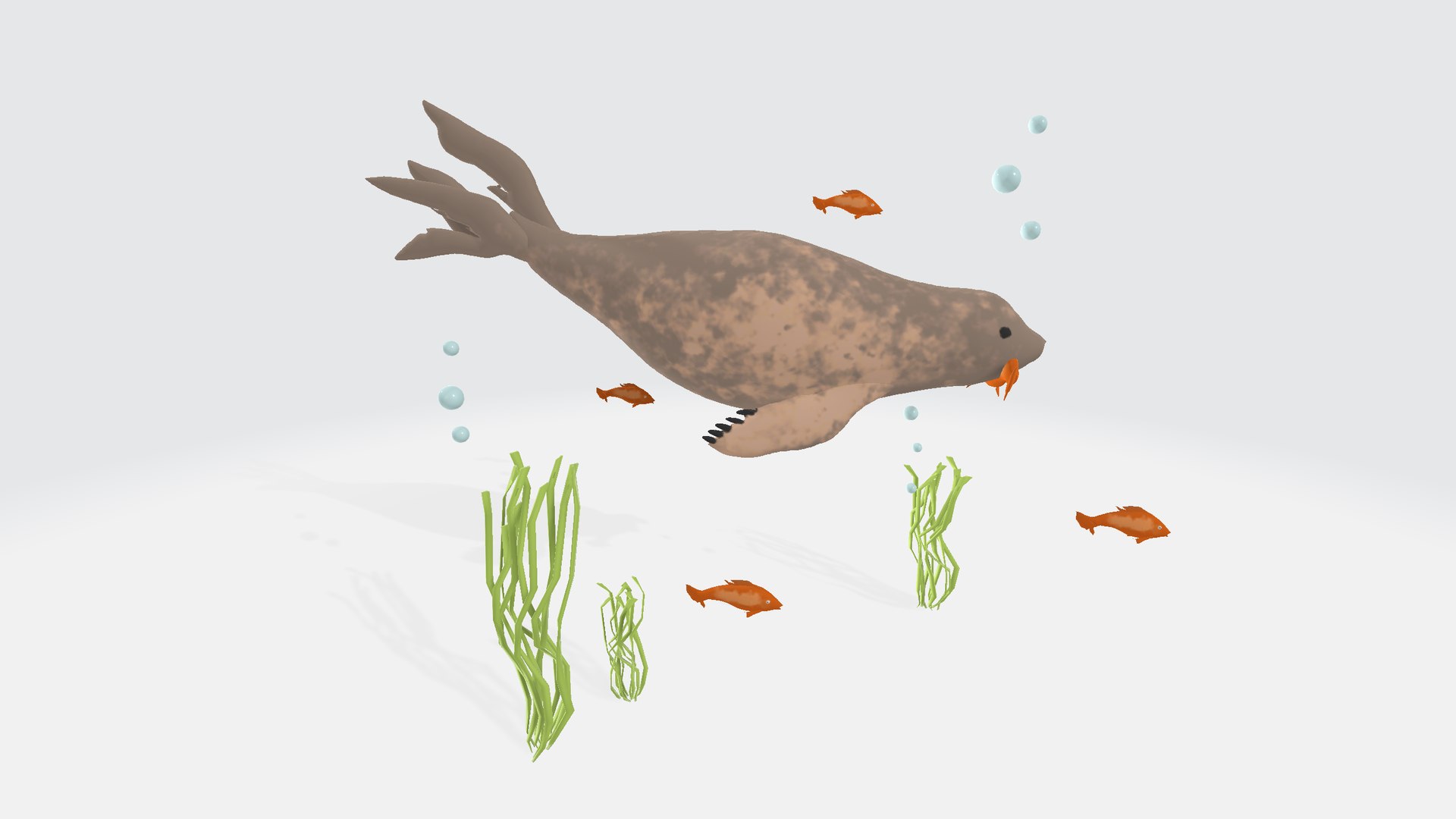 3D Seal Scene Model - TurboSquid 2398573