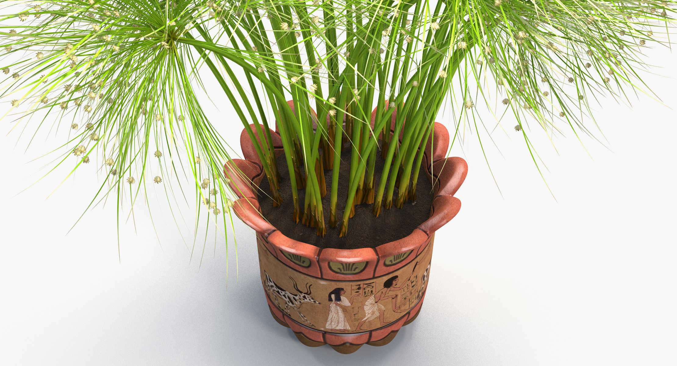 Cyperus papyrus plant pot 3D model - TurboSquid 1195356
