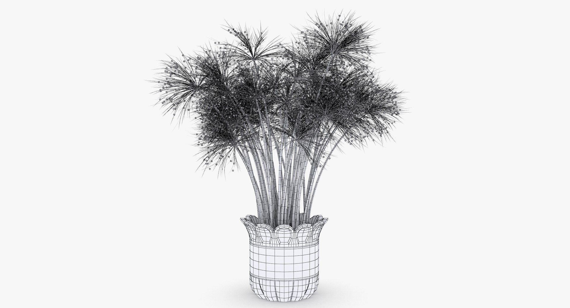 Cyperus Papyrus Plant Pot 3D Model - TurboSquid 1195356