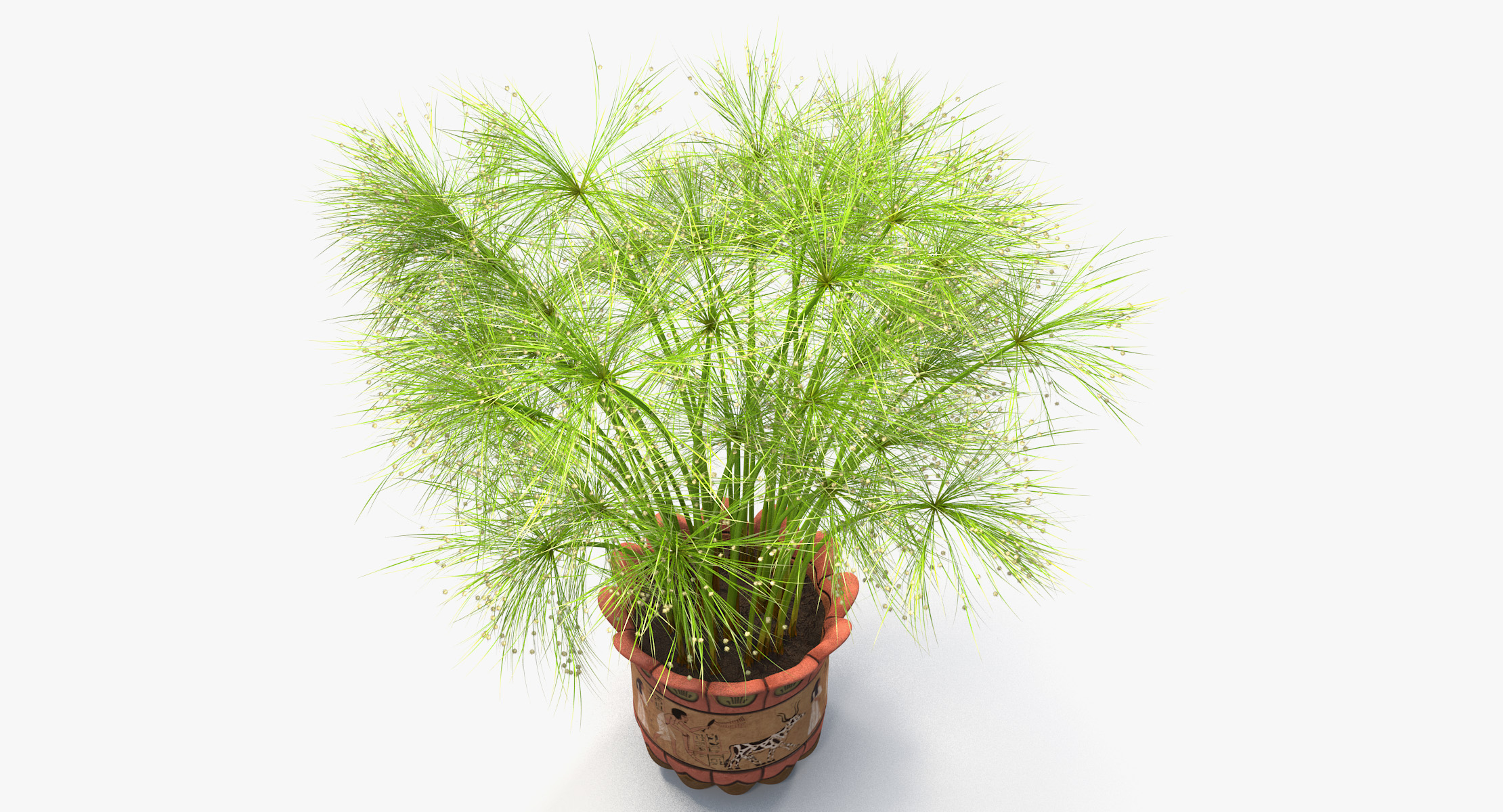 Cyperus papyrus plant pot 3D model - TurboSquid 1195356
