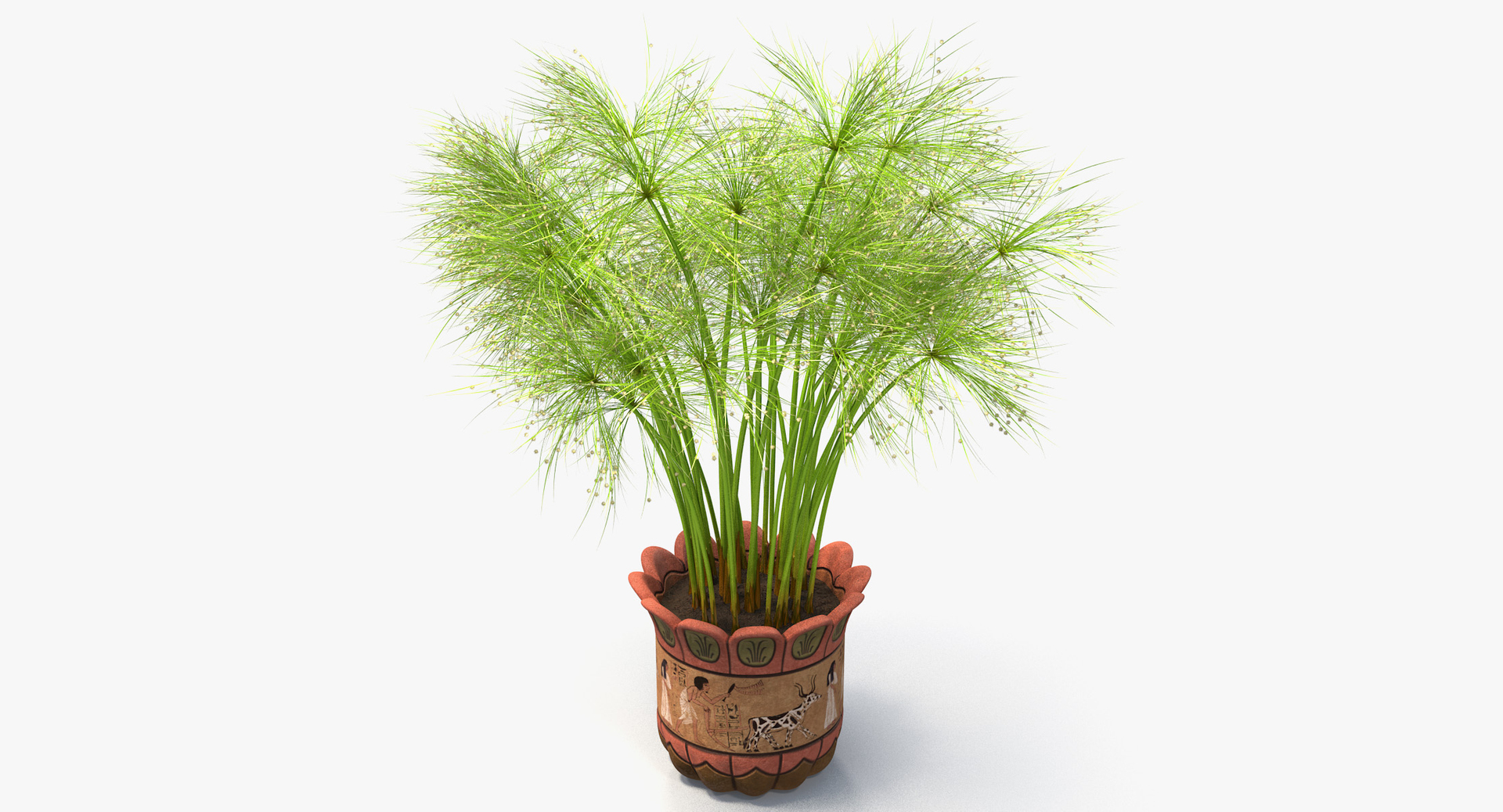 Cyperus papyrus plant pot 3D model - TurboSquid 1195356