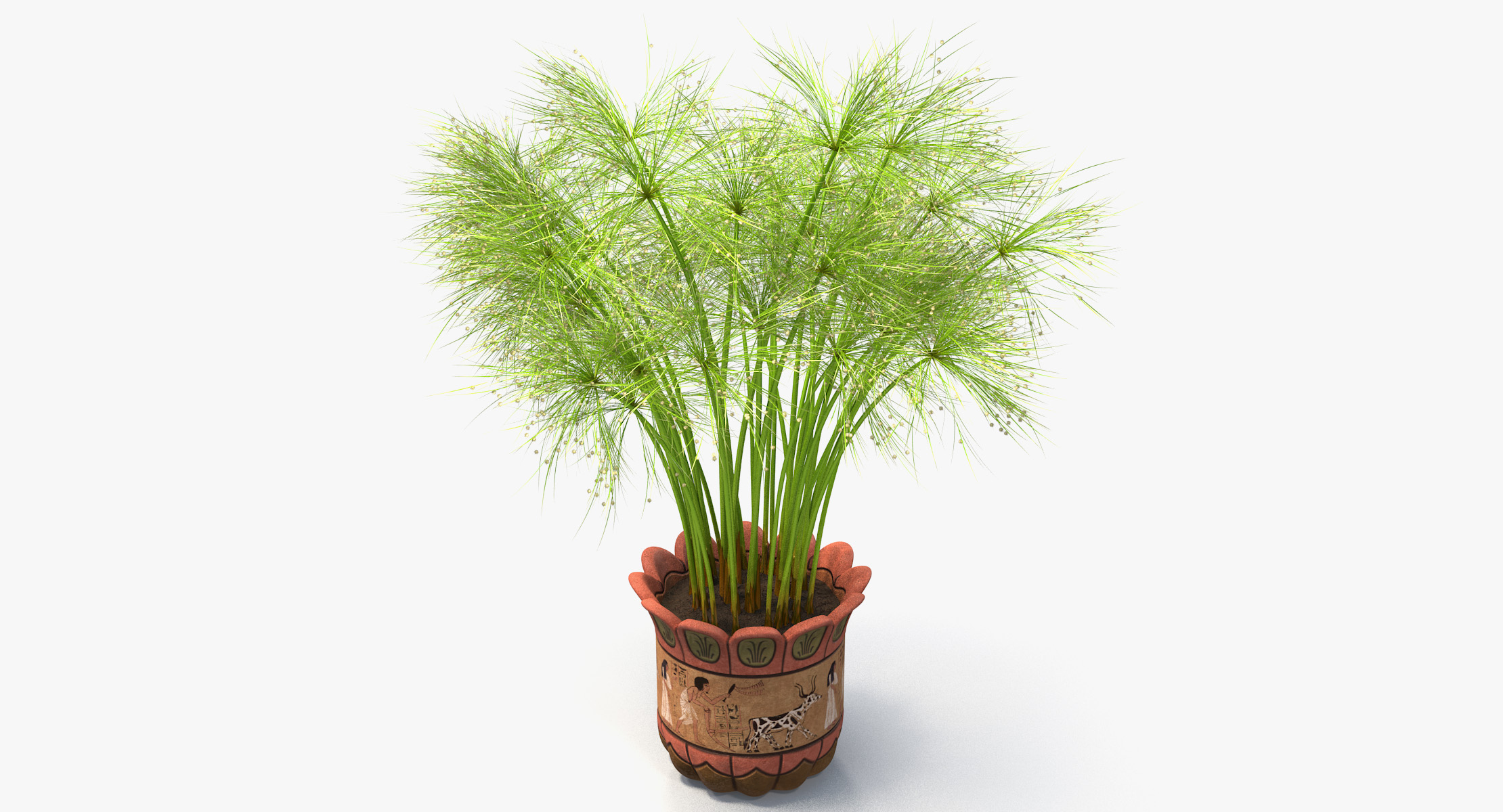 Cyperus papyrus plant pot 3D model - TurboSquid 1195356