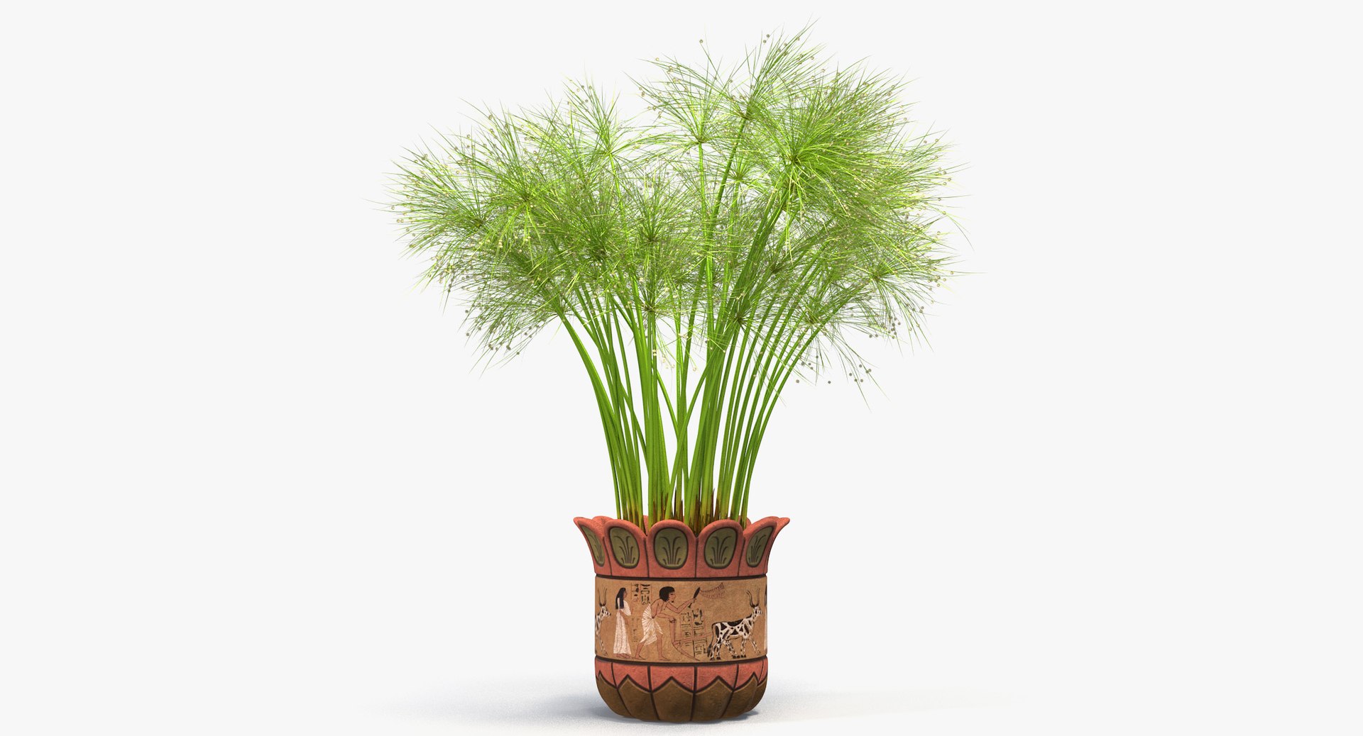 Cyperus Papyrus Plant Pot 3D Model - TurboSquid 1195356
