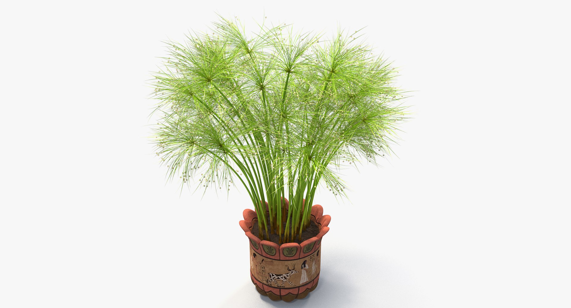 Cyperus Papyrus Plant Pot 3D Model - TurboSquid 1195356