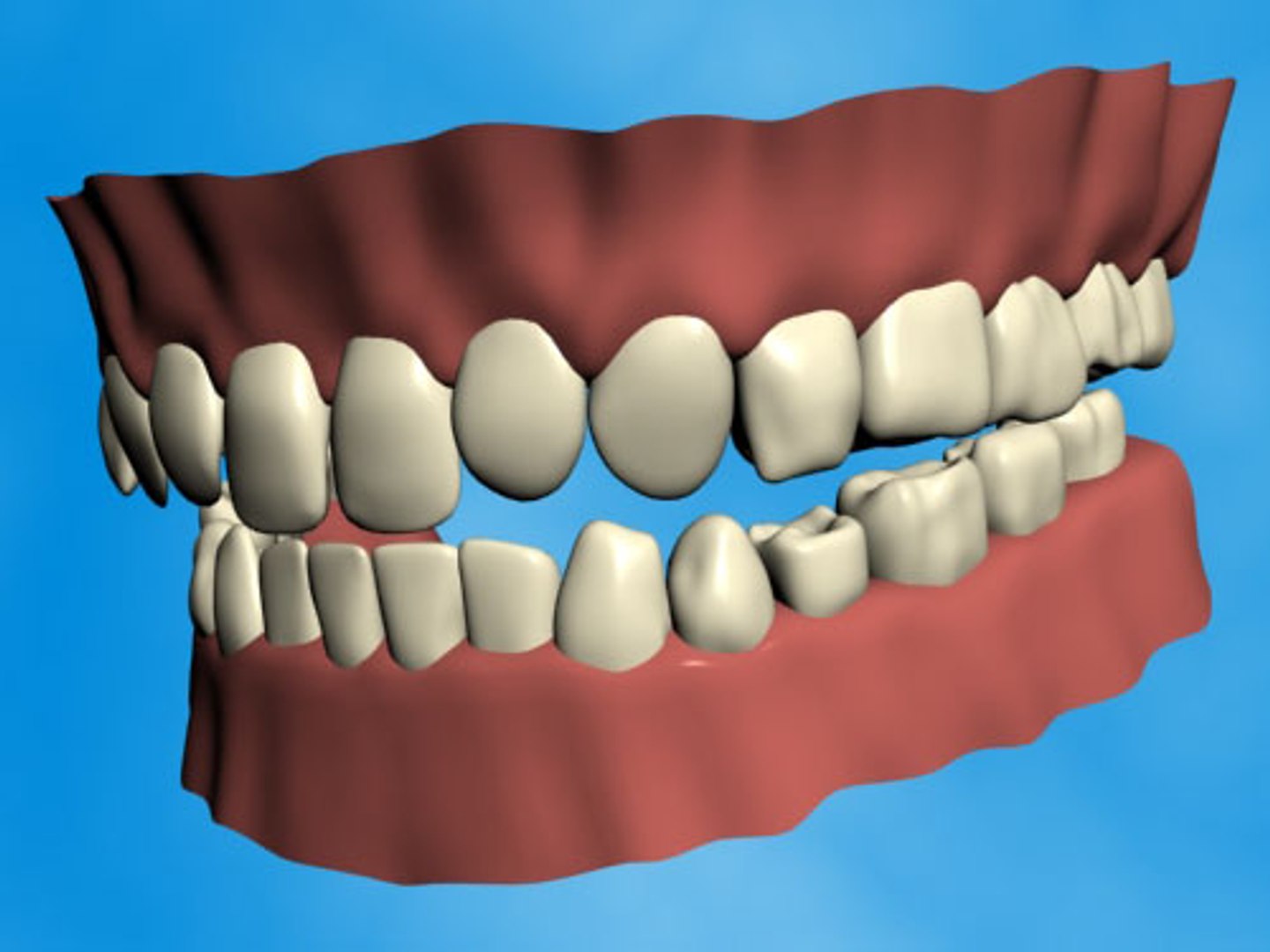 teeth jaws 3ds