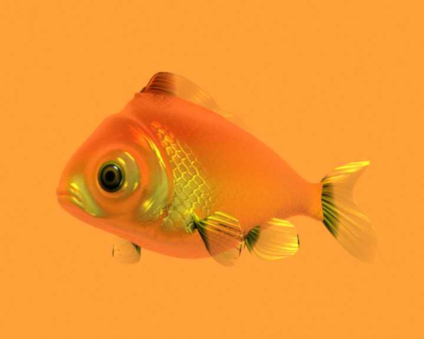 Gold Fish 3d Model