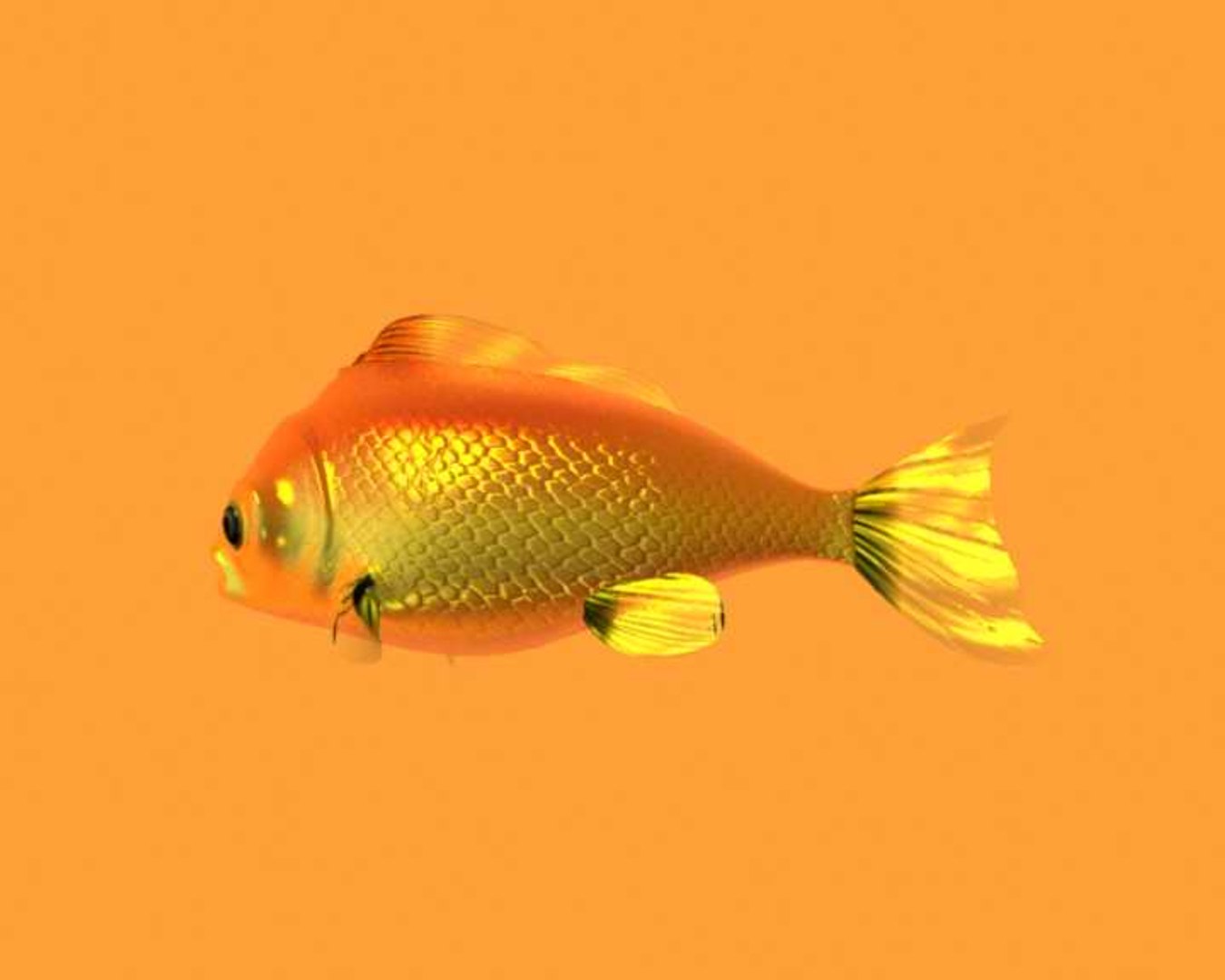 Gold Fish 3d Model