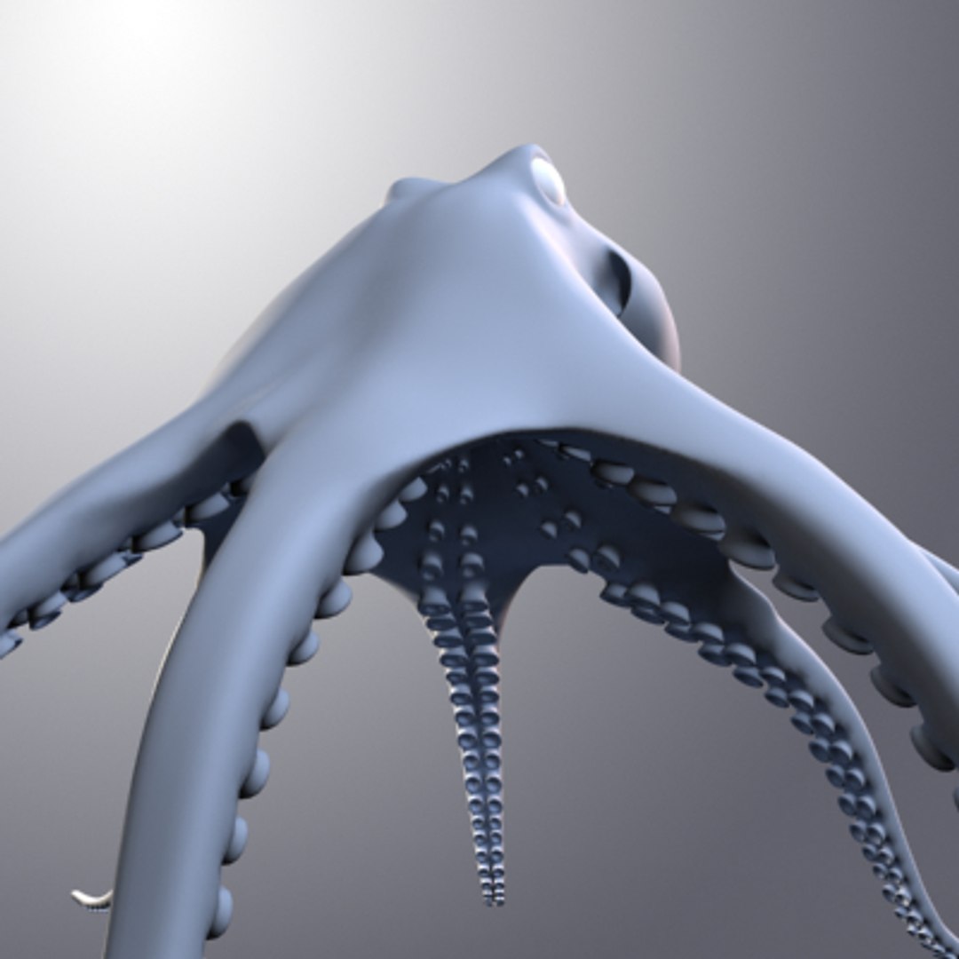 Octopus 3d Model