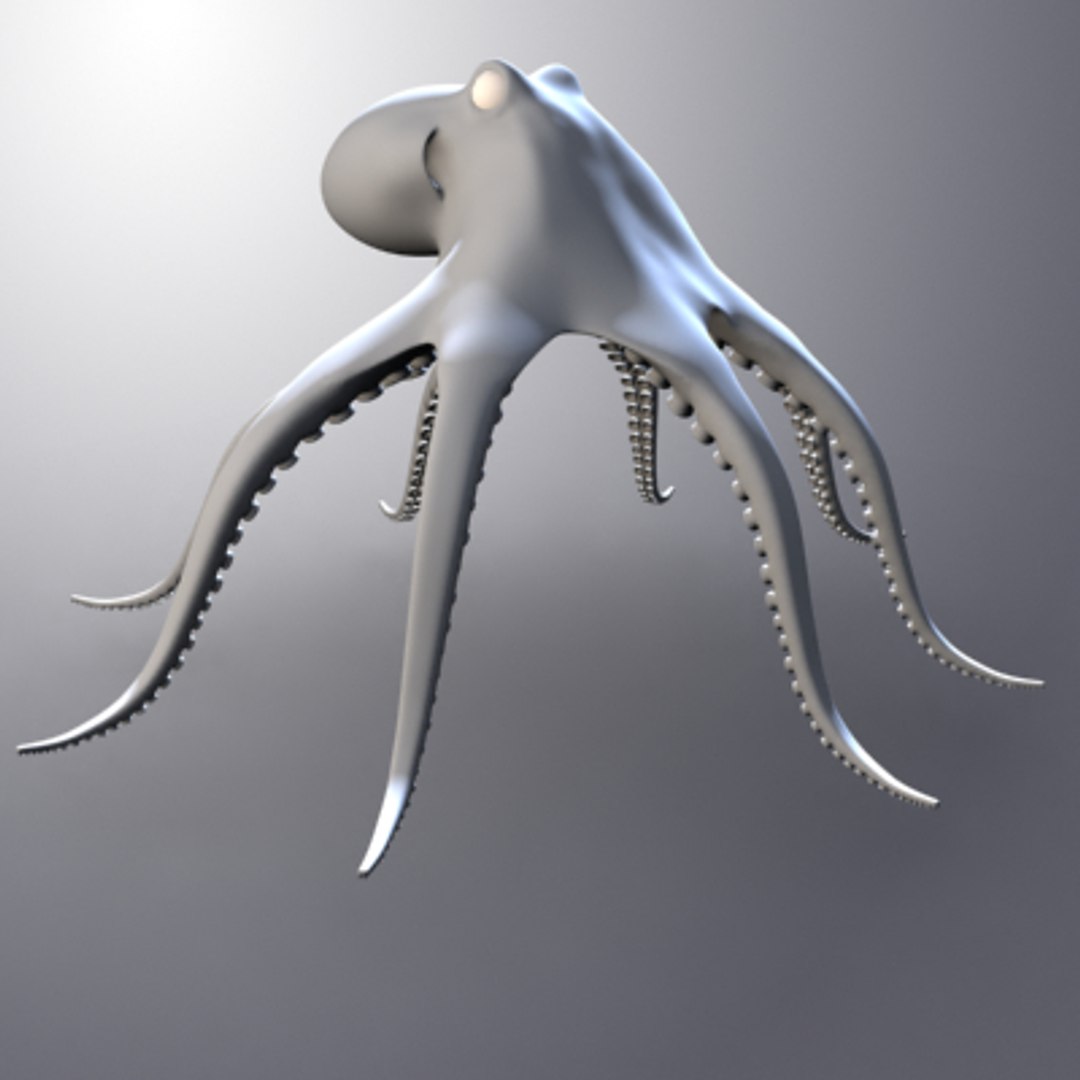 Octopus 3d Model