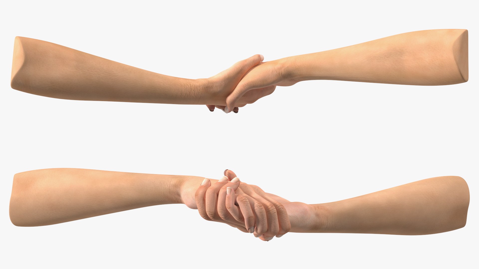 3D Handshake Female Hand Rigged Model - TurboSquid 2114150