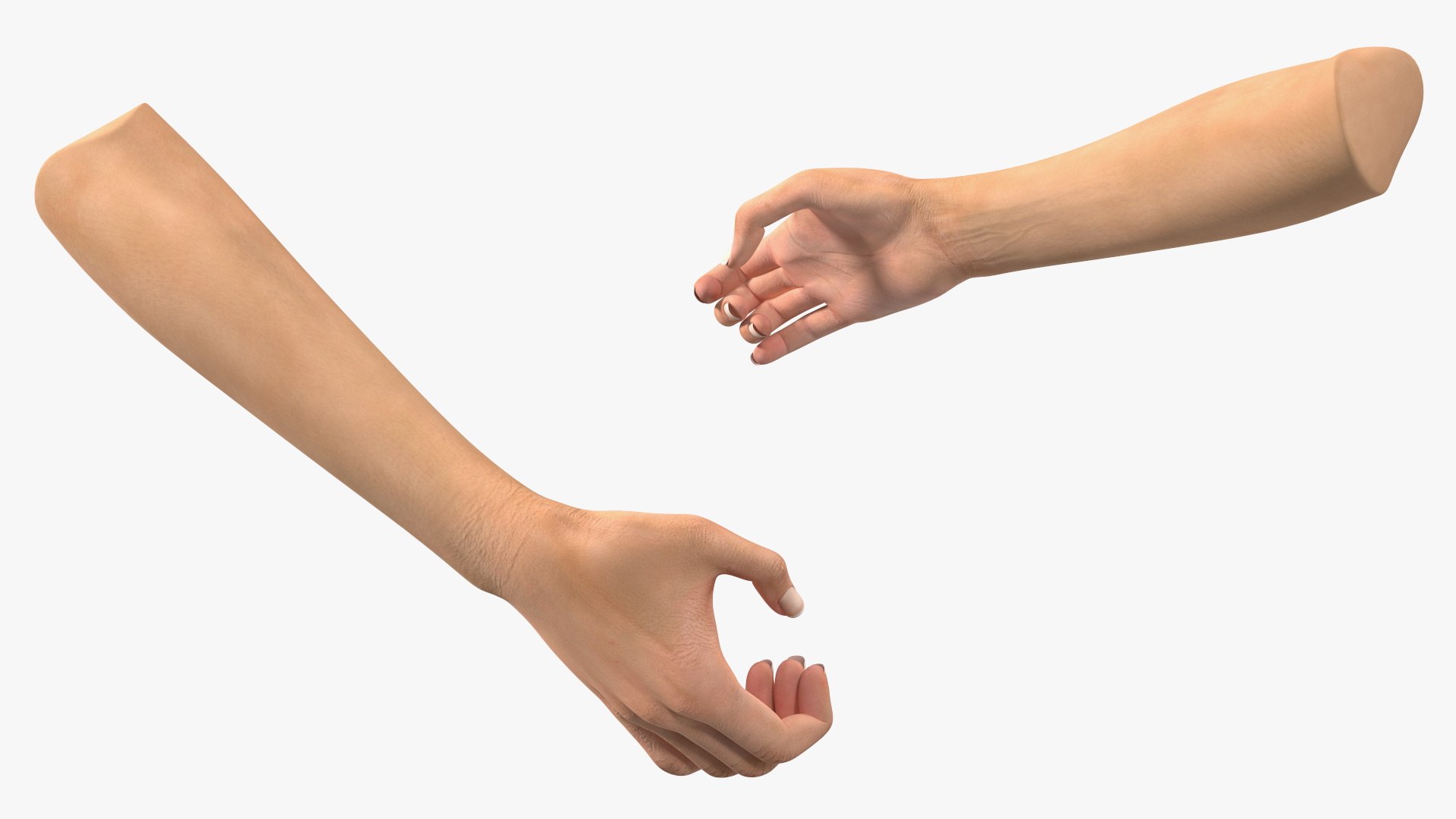 3D Handshake Female Hand Rigged Model - TurboSquid 2114150