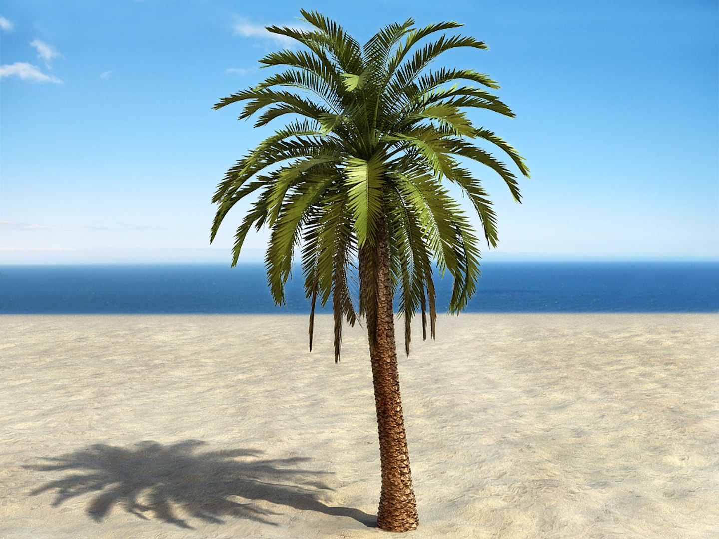 palm tree 3d obj