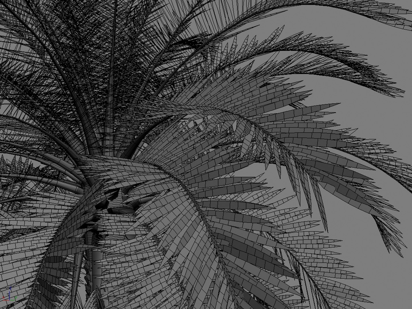 palm tree 3d obj