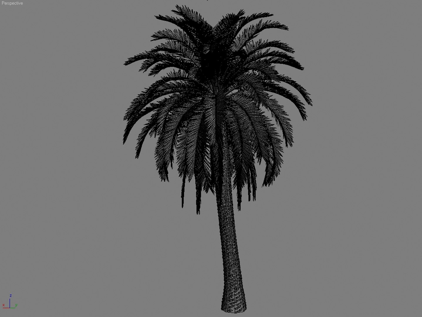 palm tree 3d obj